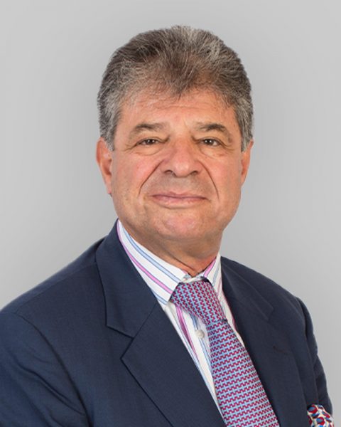 Investors - Harel Mallac Group